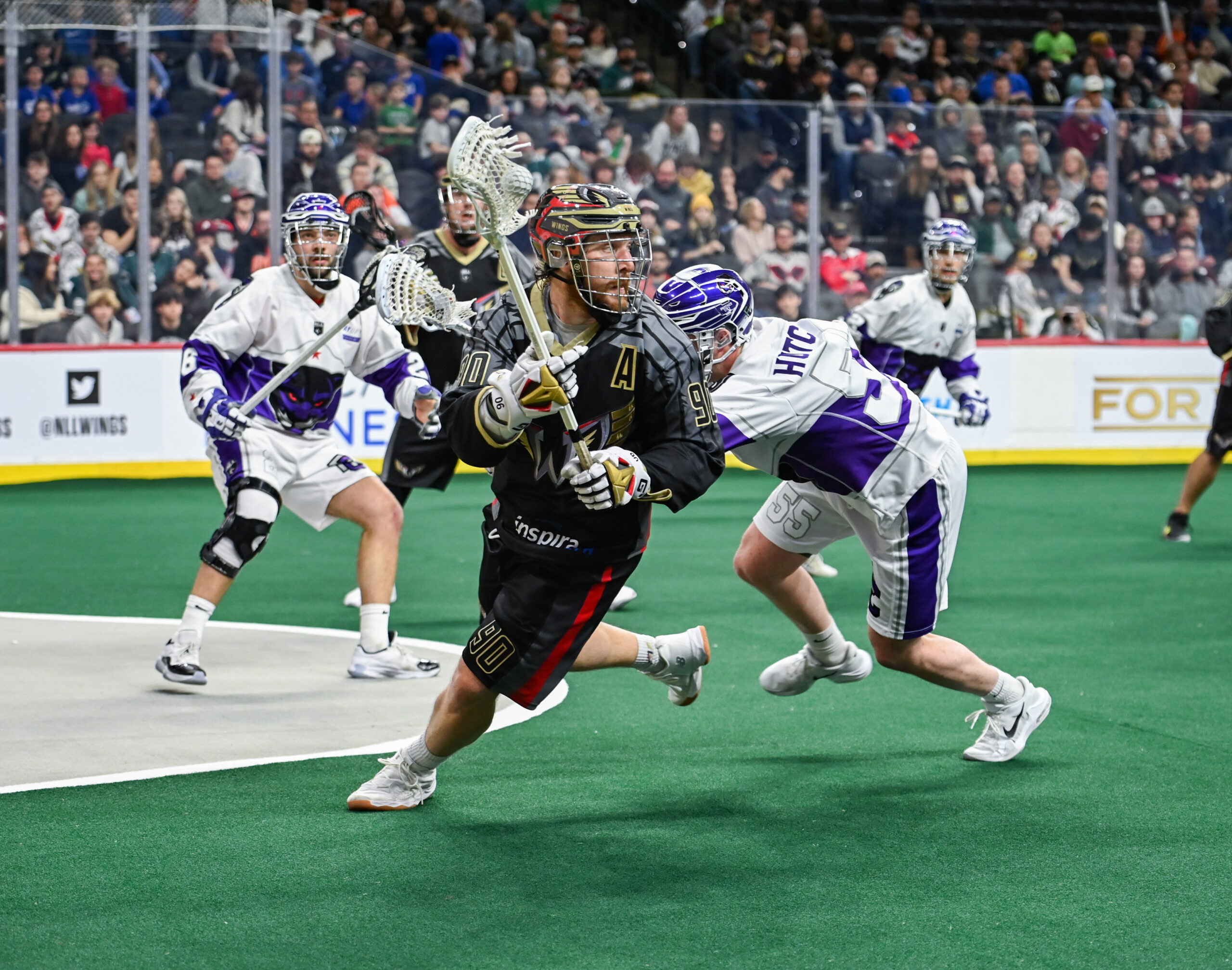 Game Preview - Wings vs Panther City - Philadelphia Wings Lacrosse